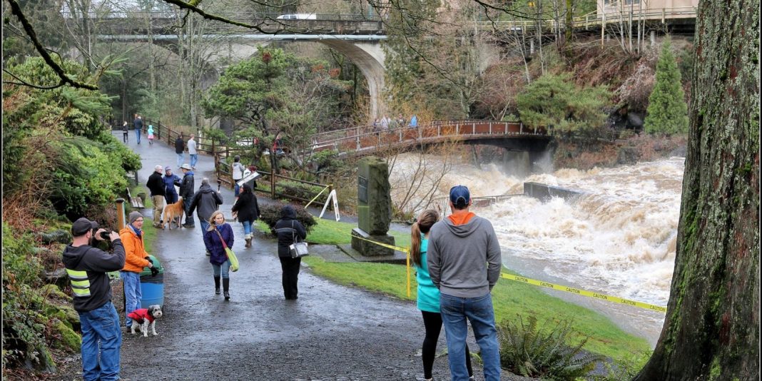 Brewery Park at Tumwater Falls